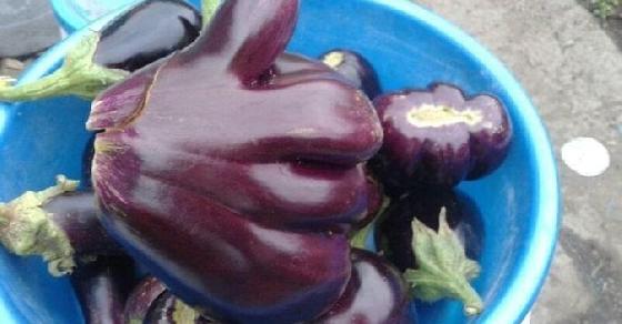 Better Look Again. These Photos Of Objects That Resemble Other Objects ...