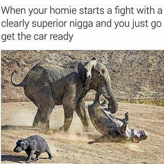 Funny Memes Because Why Not. | ThatViralFeed