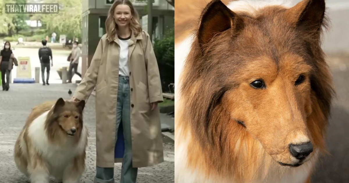 Man Who Spent $14K To Transform Himself Into Collie Steps Out For First ...