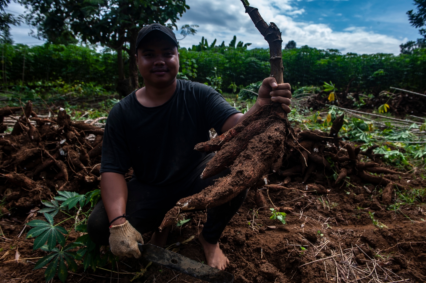 'World’s Deadliest Food' Kills Over 200 People Annually, Yet Millions ...
